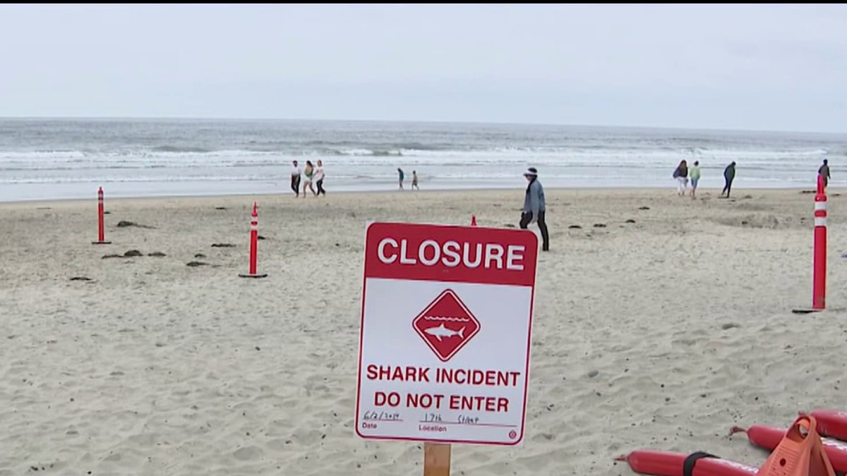 San Diego heroes who rescued shark-attack victim to receive Carnegie Medals – NBC 7 San Diego