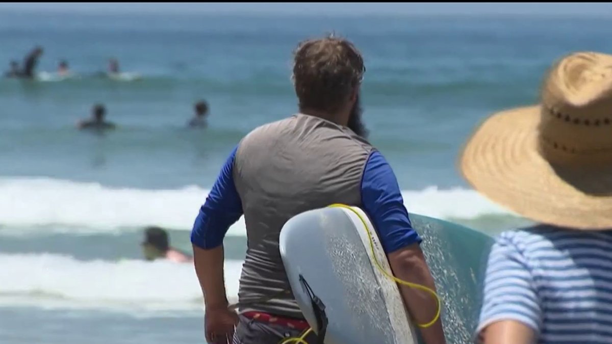 San Diego lifeguards warn about stingrays – NBC 7 San Diego