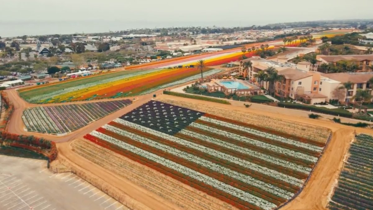 This giant flower flag is a stirring must-see – NBC 7 San Diego