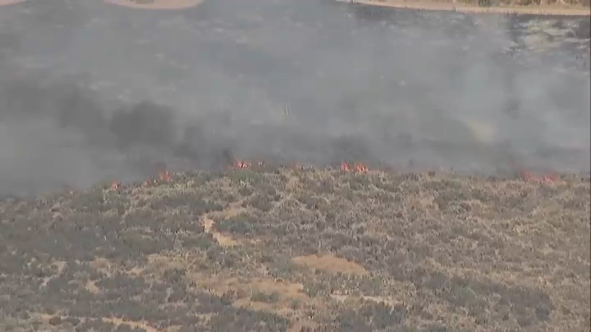 Brush fire burns near US-Mexico border in far east San Diego County ...
