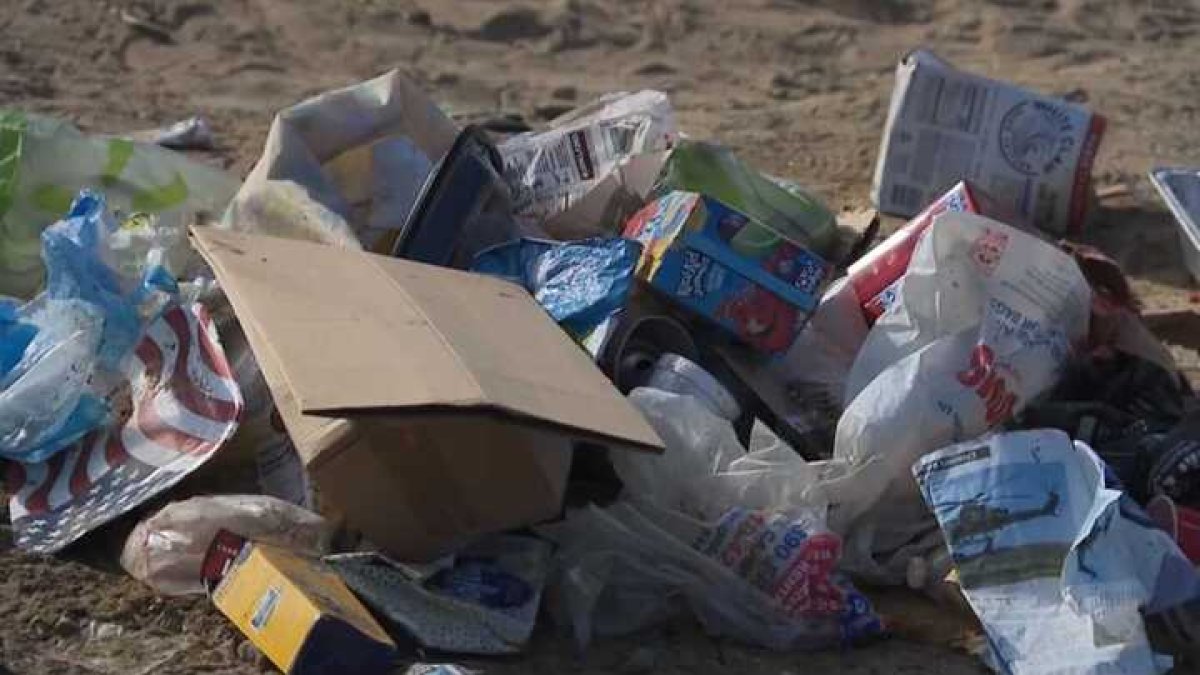 Volunteers remove nearly 4k lbs of trash from county beaches after 4th ...