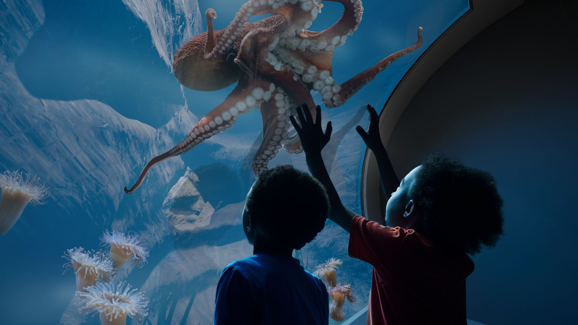 Birch Aquarium to replace Hall of Fishes with new exhibition by 2025 ...