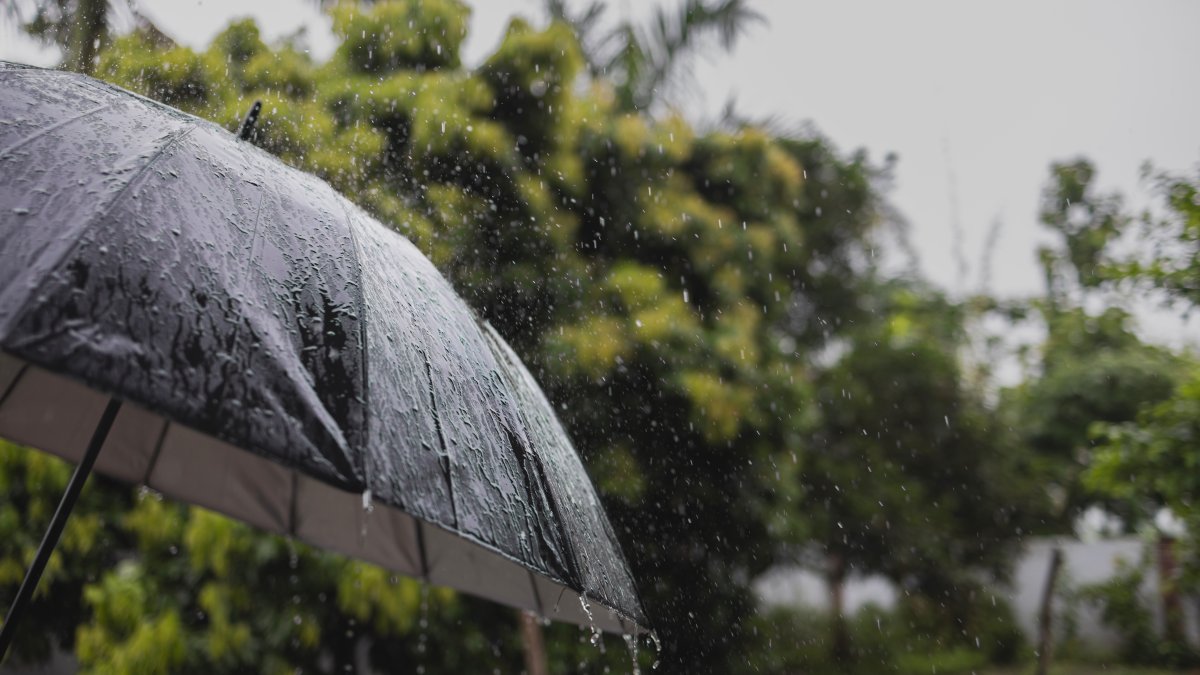 Remnant tropical moisture continues to bring rain to San Diego County ...
