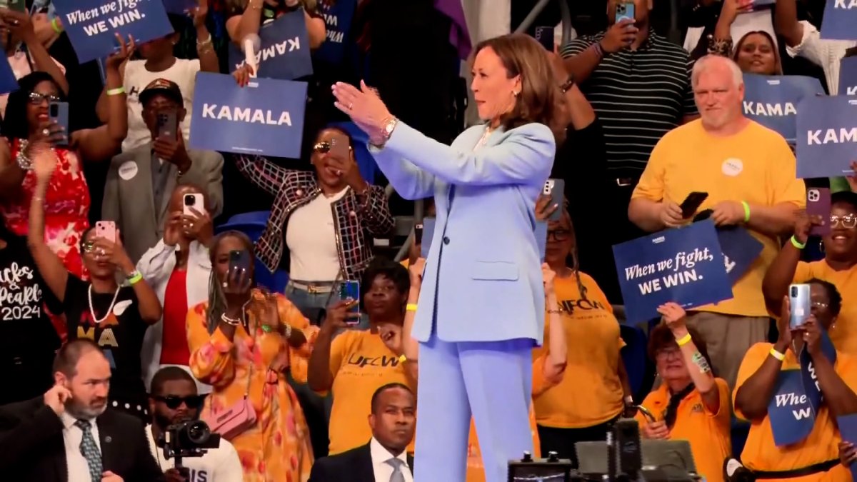 Kamala Harris has won enough delegates for nomination, says DNC chair ...