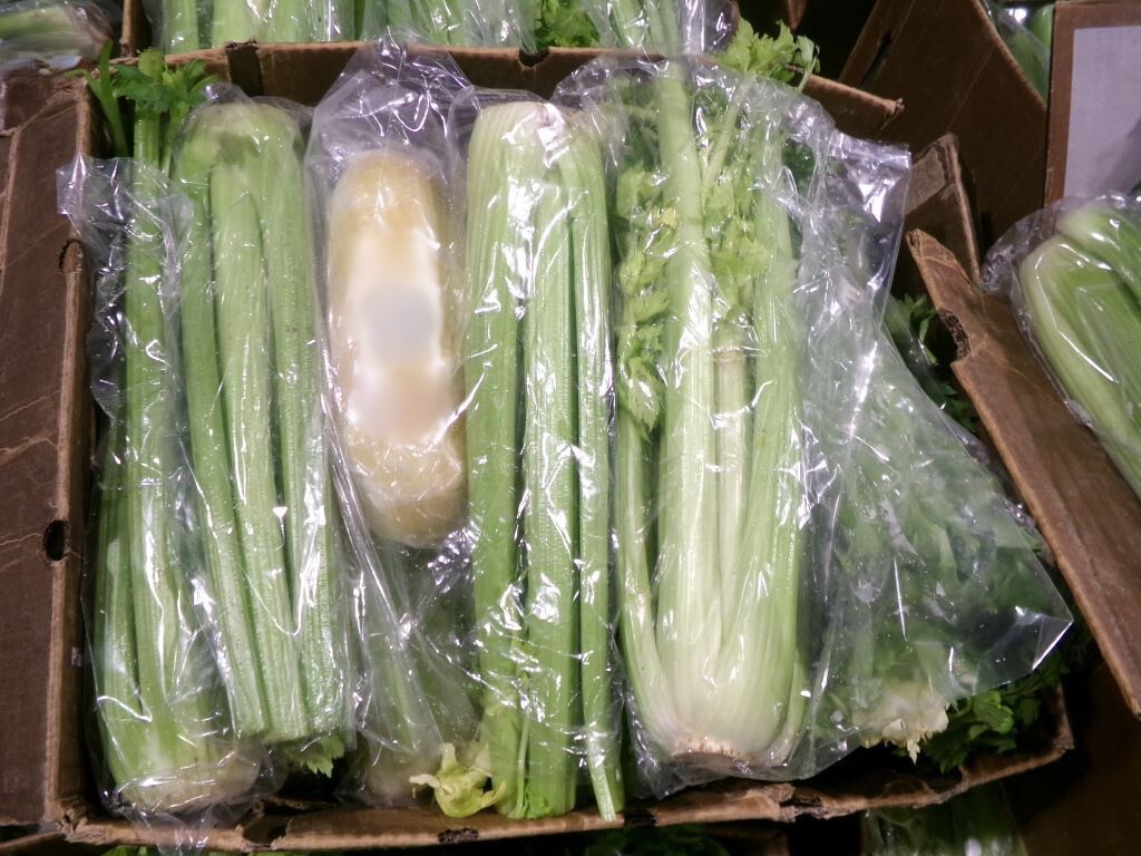 $5M+ worth of meth found in fake watermelons, celery shipment near US ...