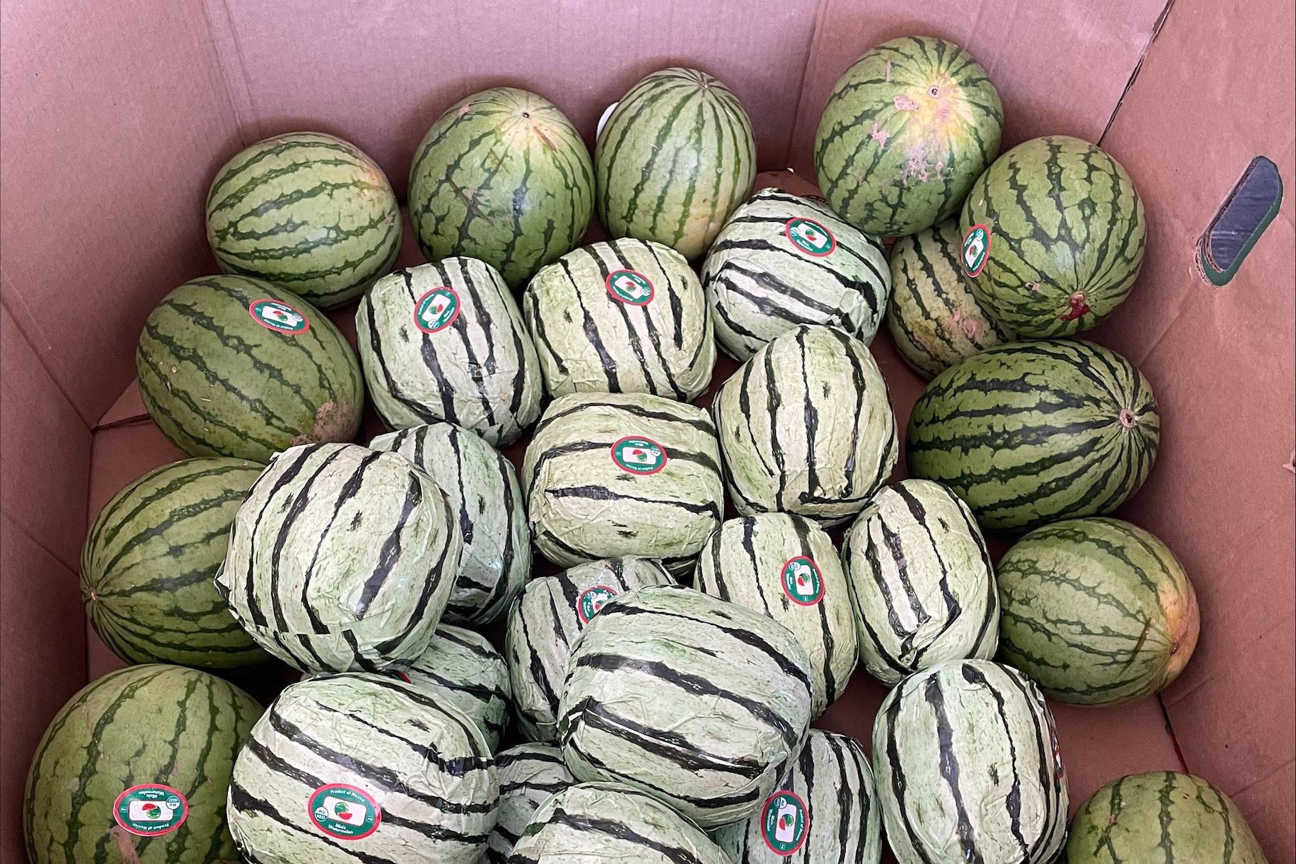 $5M+ worth of meth found in fake watermelons, celery shipment near US ...