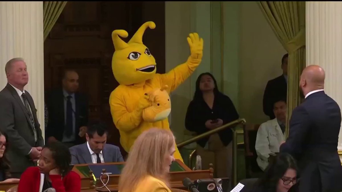 Meet California’s new state symbols: The crab, banana slug and abalone ...