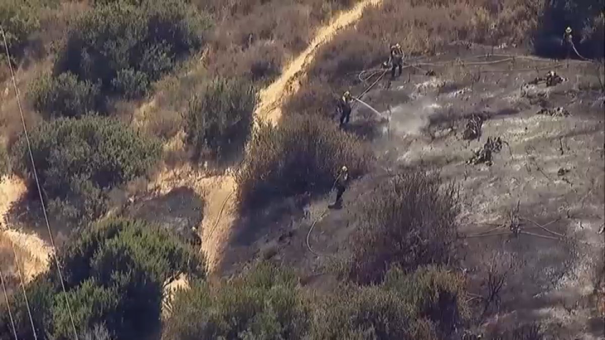 Balboa Park brush fire prompts firefighter callout – NBC 7 San Diego