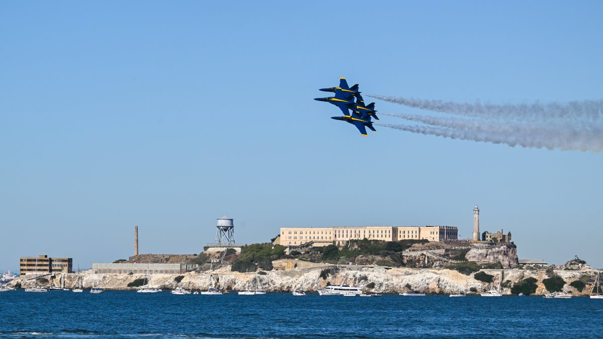 Parachutist lands on attendees during San Francisco Fleet Week air show ...