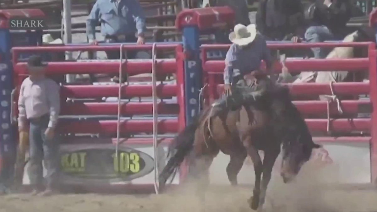 San Diego judge denies request to delay court hearing about rodeos at ... San Diego judge denies request to delay court hearing about rodeos at ...