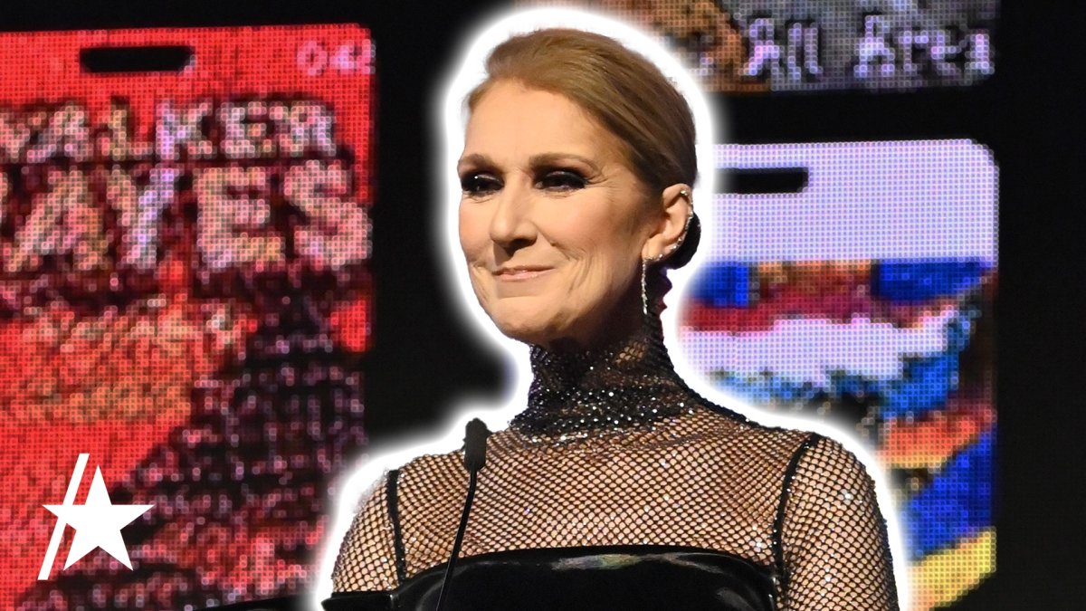 Céline Dion gets standing ovation and shares powerful message of hope ...