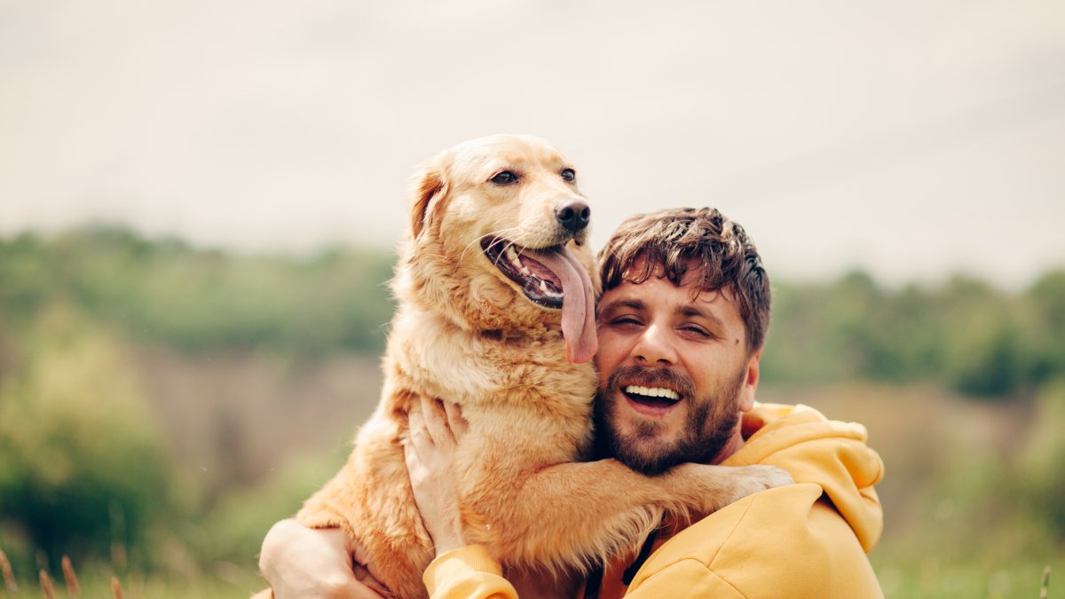 What is a golden retriever boyfriend? All about the pet-inspired ...