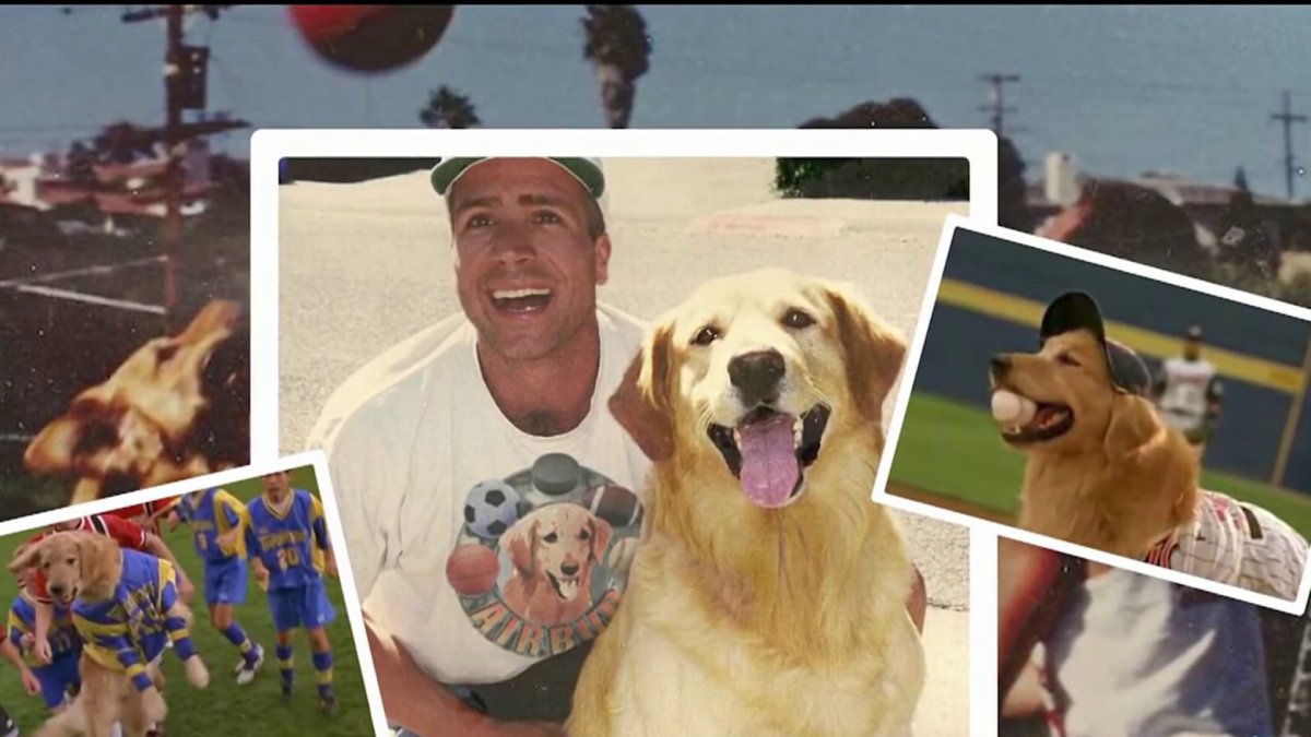 ‘Air Bud’ movie creator’s second act – NBC 7 San Diego