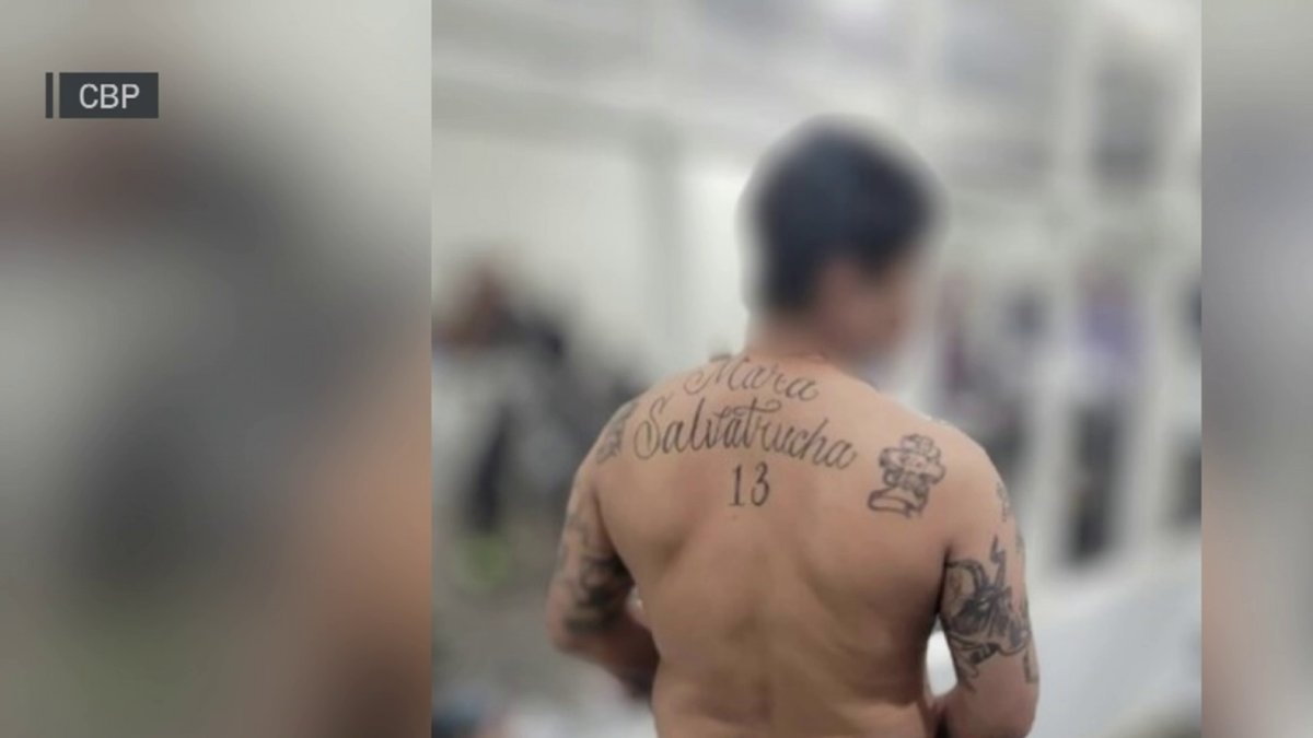 MS-13 gang member from El Salvador arrested at US-Mexico border: CBP ...