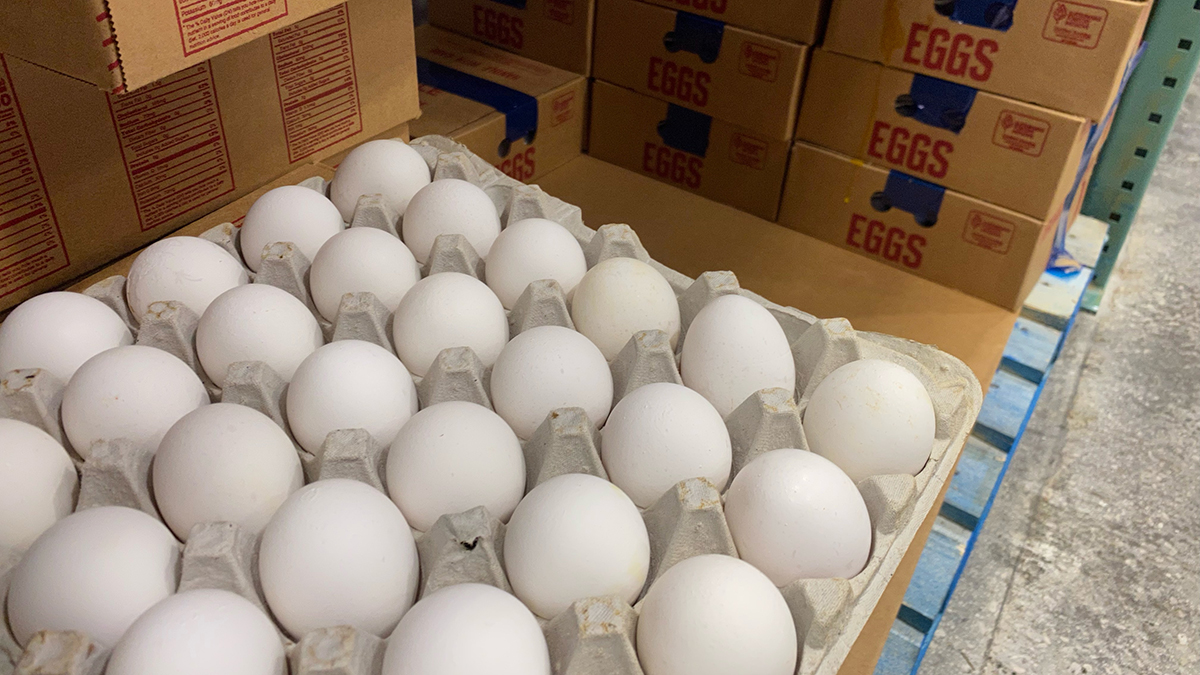 FDA raises recall alert to highest level on Costco eggs over salmonella ...