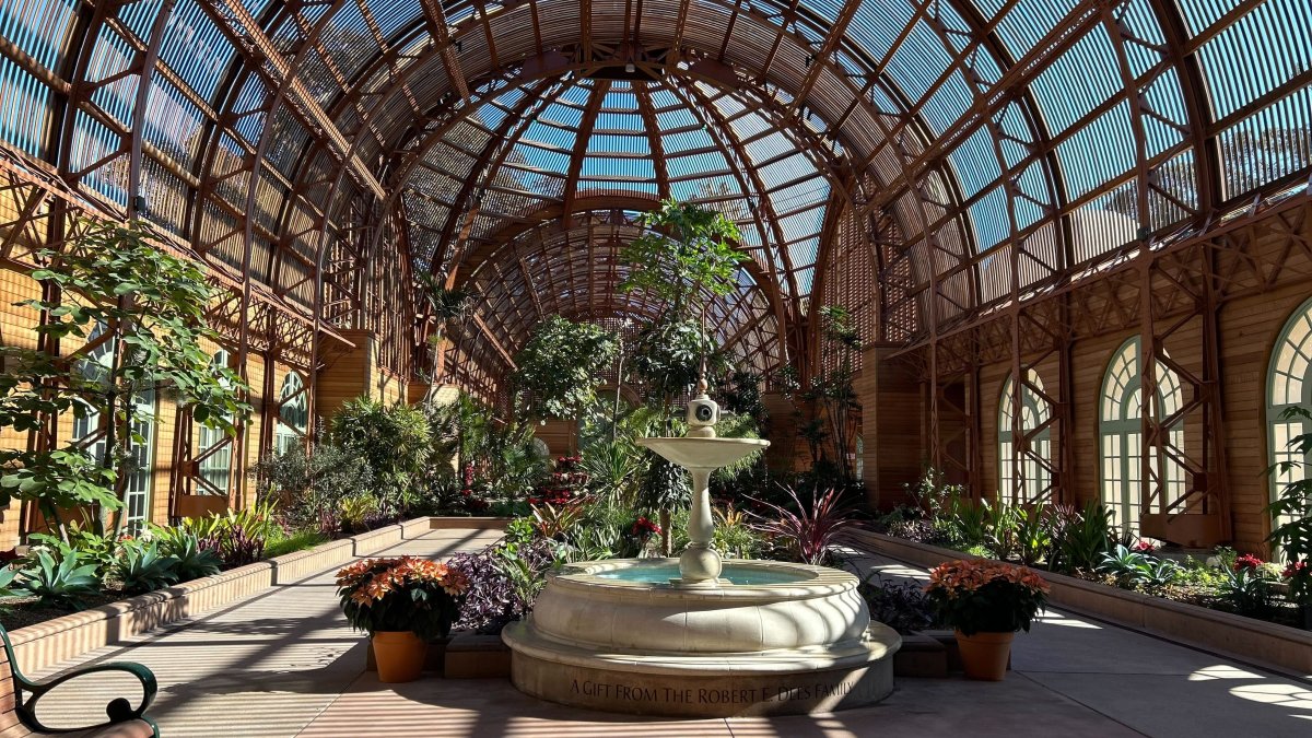Botanical Building in Balboa Park to open on Dec. 6 – NBC 7 San Diego