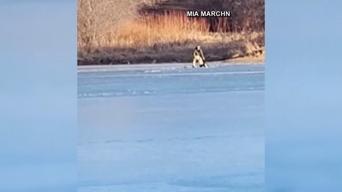 Man rescued after falling through ice on lake in Minnesota – NBC 7 San ...