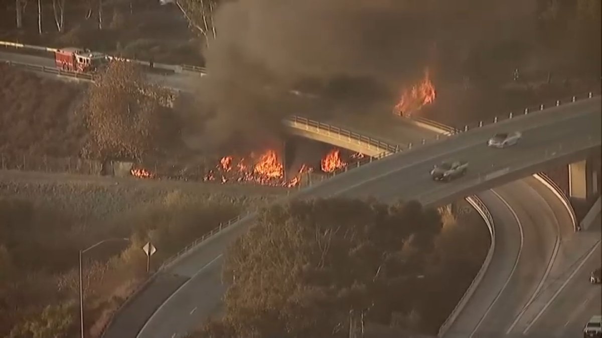 Brush fire sparks under overpass in National City – NBC 7 San Diego