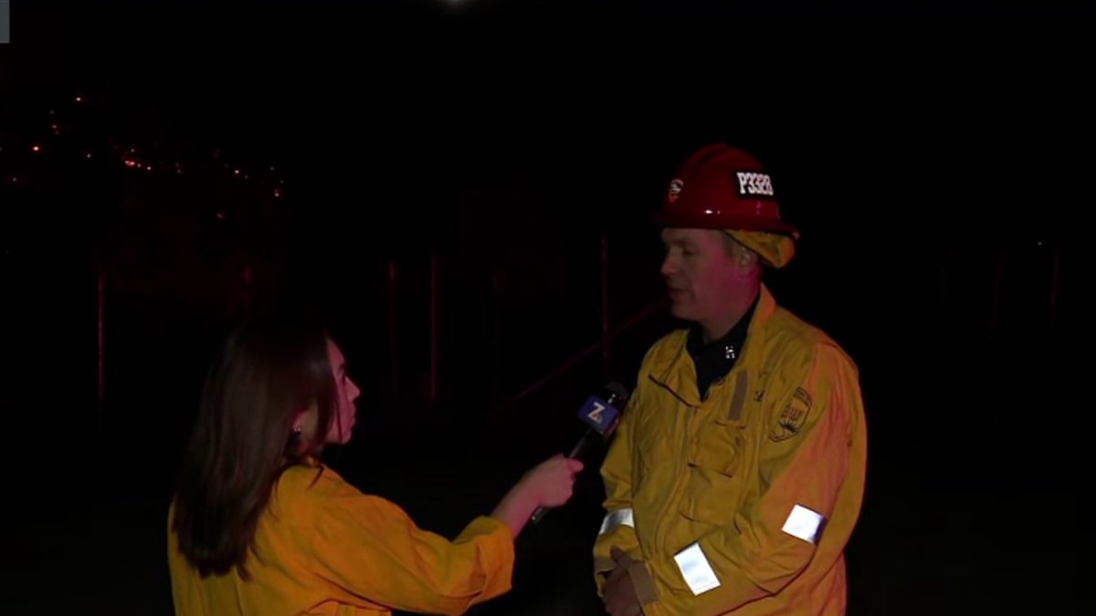 Lilac Fire in Bonsall burns 80 acres – NBC 7 San Diego