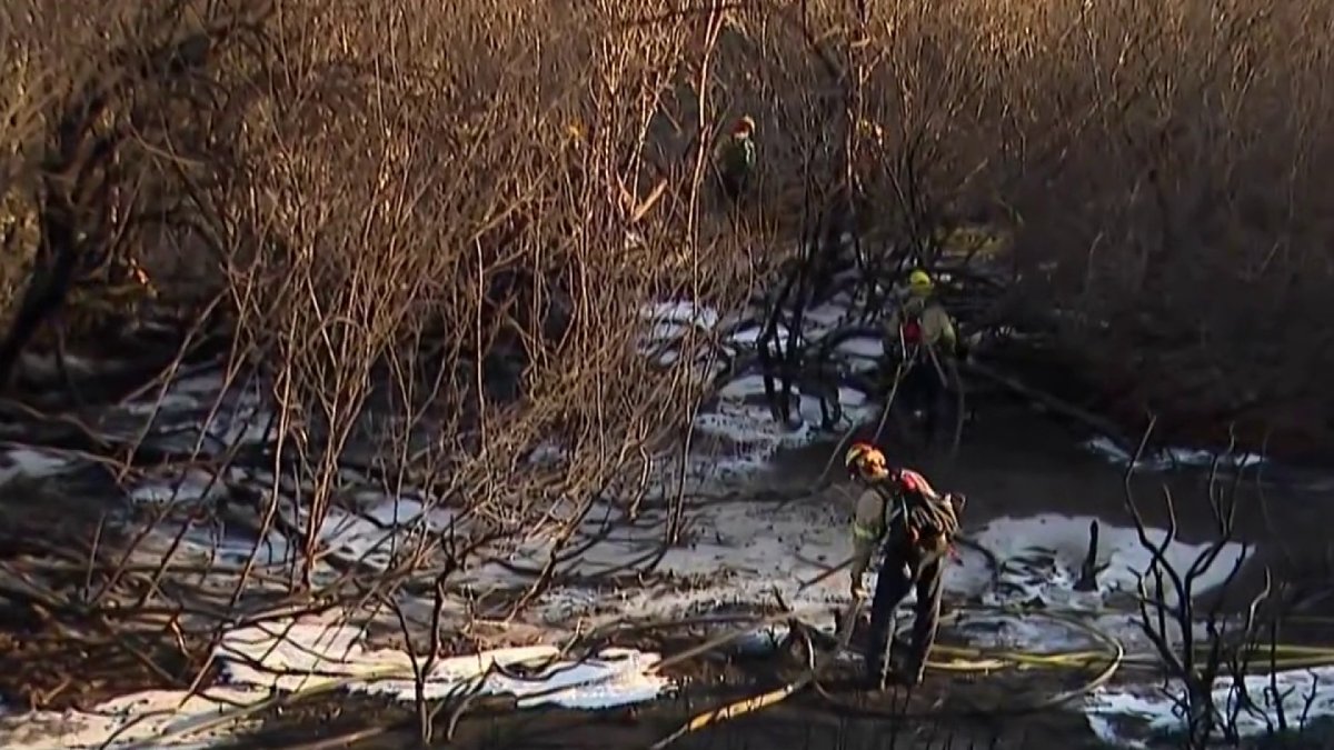 Crews respond to brush fire off Gilman Drive in La Jolla – NBC 7 San Diego