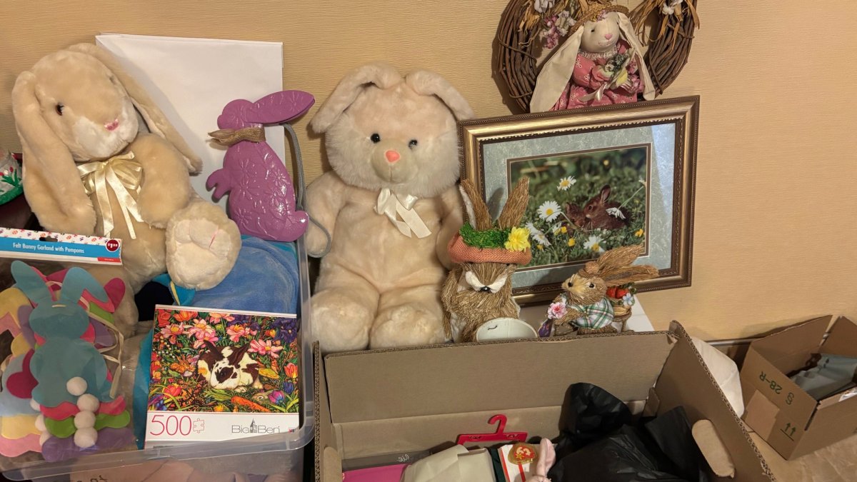 The Bunny Museum begins rebuilding its collection of rabbit items – NBC ...