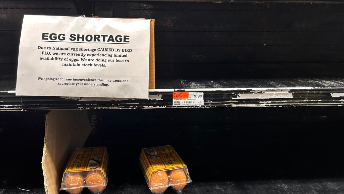 Wholesale egg prices have ‘blown way past’ record highs, analyst says ...