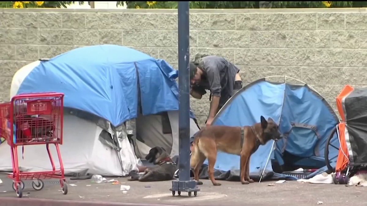 Homelessness in San Diego is on the rise again, according to new data ...