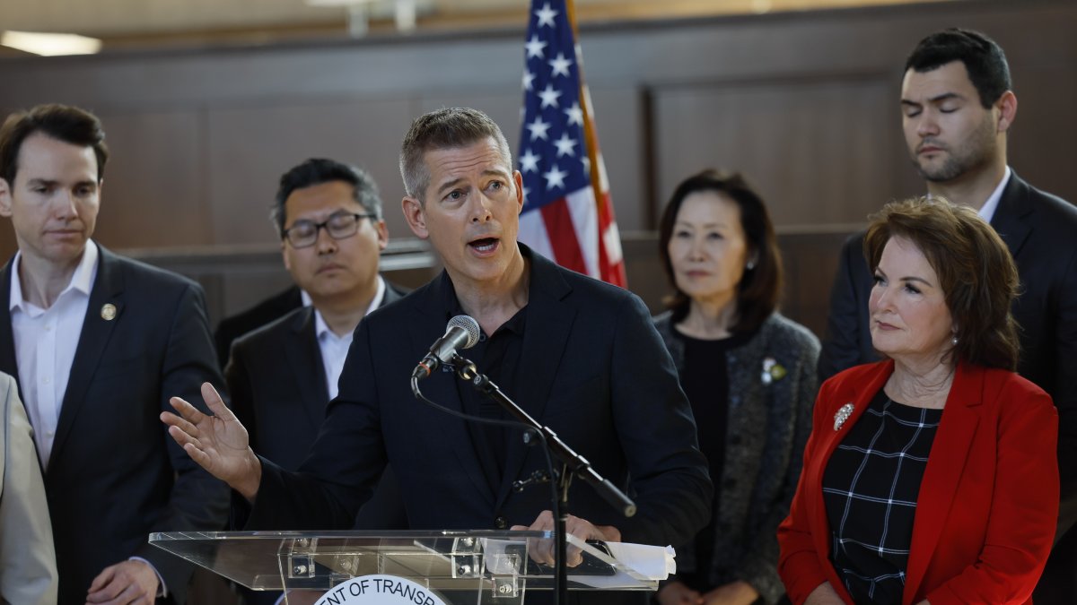 Transportation secretary says pilot error played a role in majority of ...