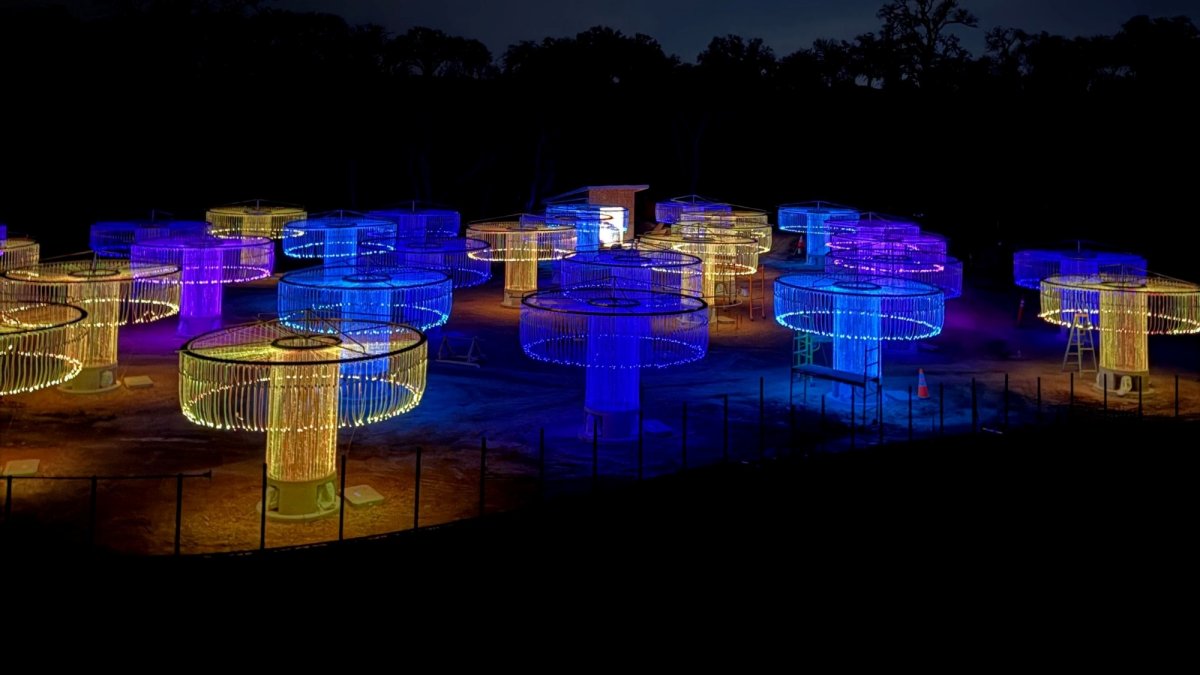 ‘FOSO,’ a sound and light installation, to debut at ‘Sensorio’ – NBC 7 ...