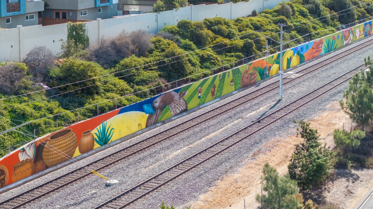 New murals bring color, life and culture to Chula Vista Trolley station ...