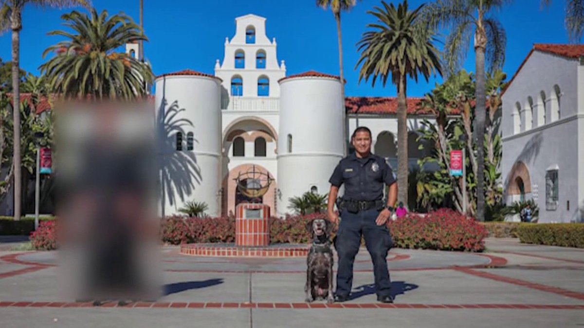 San Diego State police sergeant, father of three, named in child-porn ...