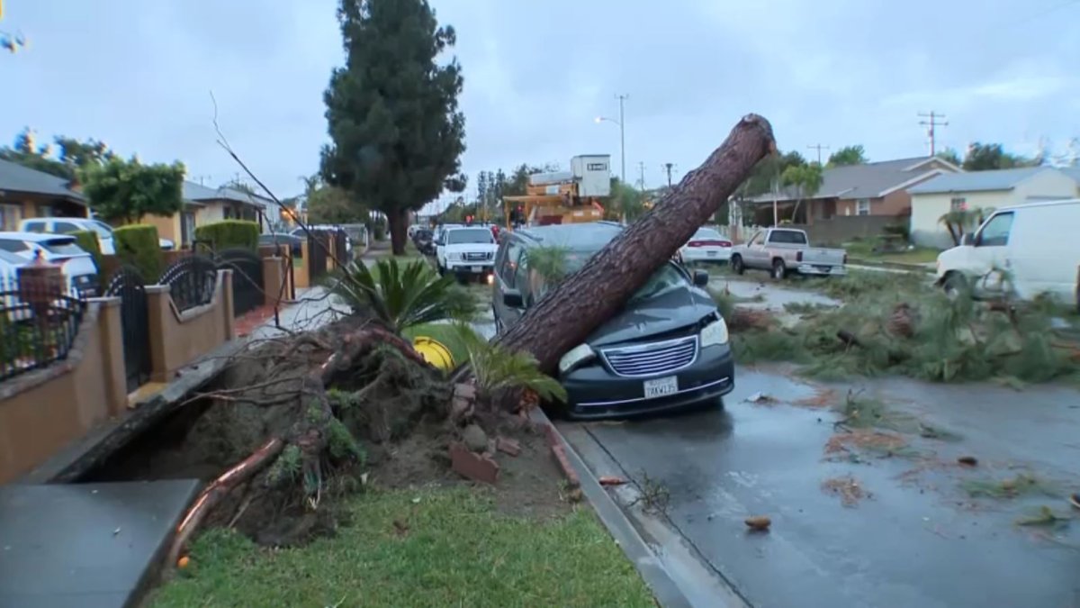 Pico Rivera tornado knocks down trees in LA storm – NBC 7 San Diego