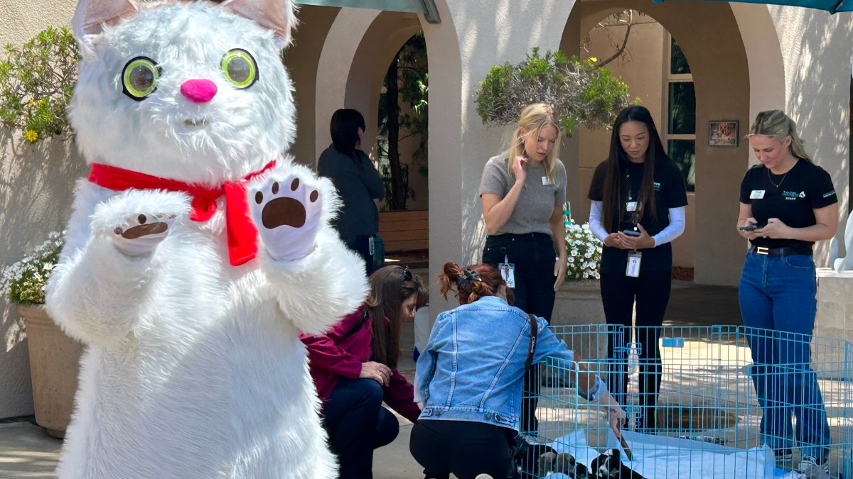 San Diego Humane Society celebrates Summer Pet-tacular theme at 2025 ...