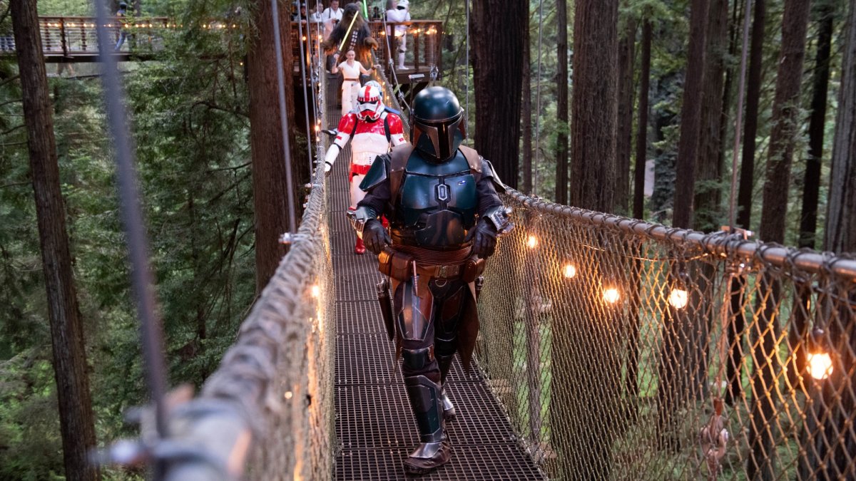 Meet me on Endor: The ‘Forest Moon Festival’ visits the redwoods of ...