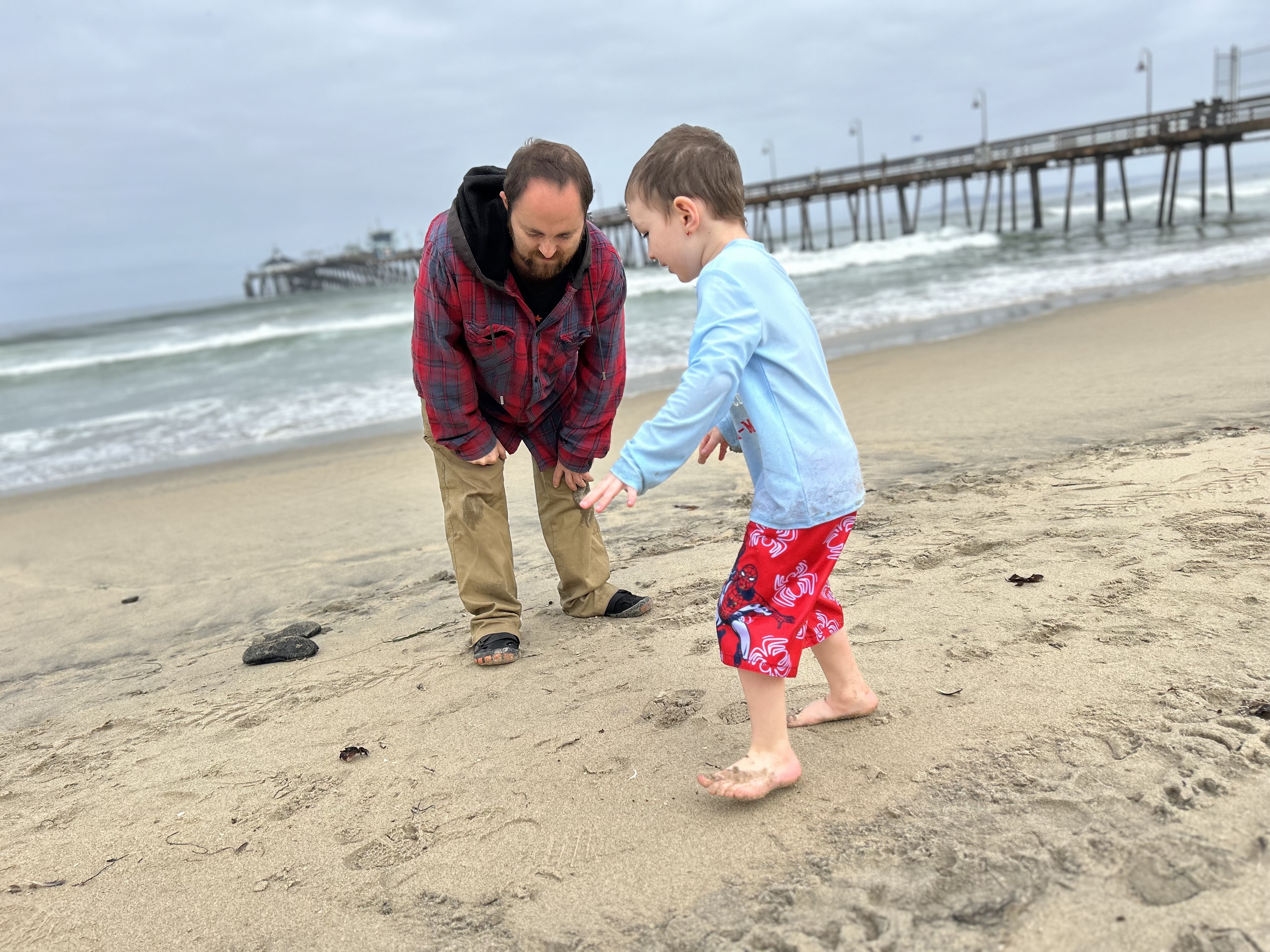 Coronado shoreline closed again because of new sewage contamination ...
