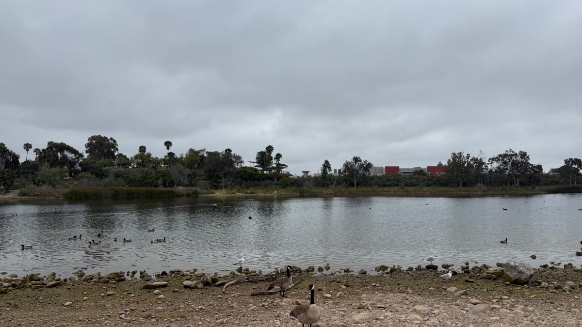 Lake Murray, Miramar Reservoir would be closed Monday-Friday under city ...