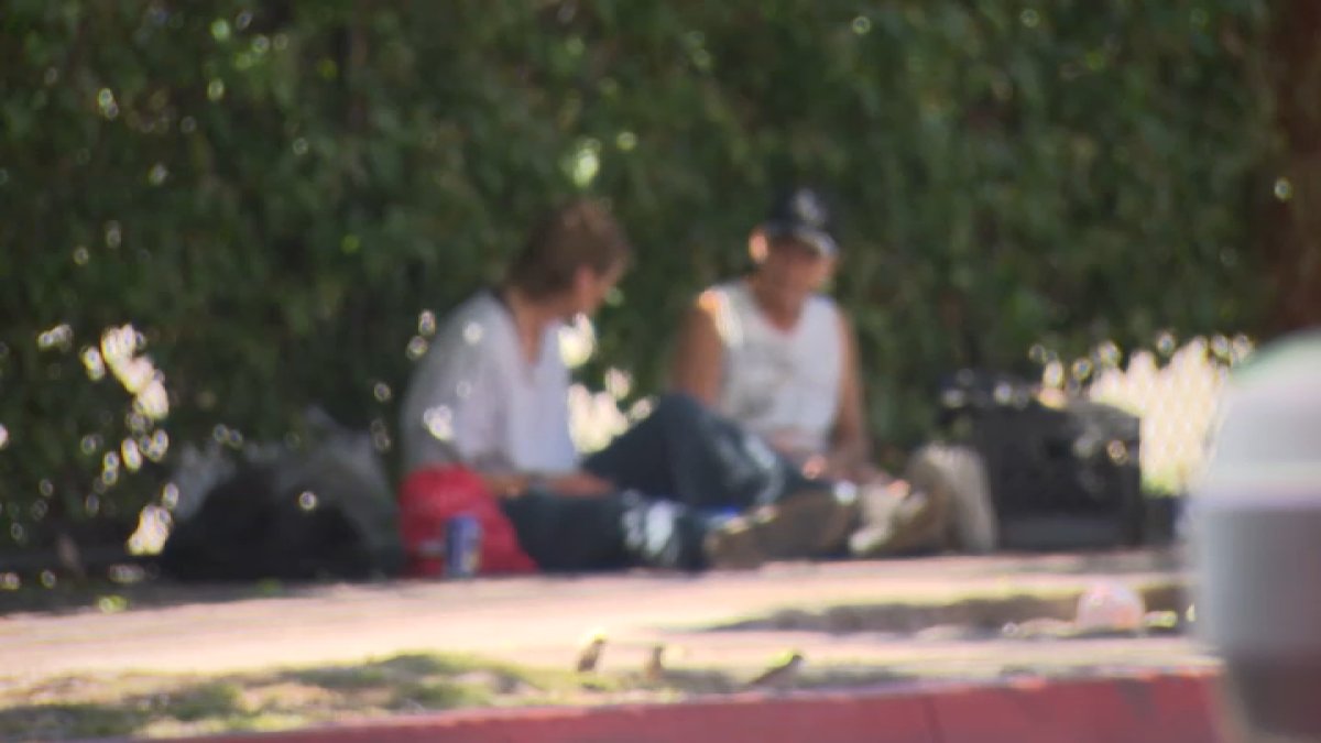 Homelessness down across San Diego County, new data shows – NBC 7 San Diego