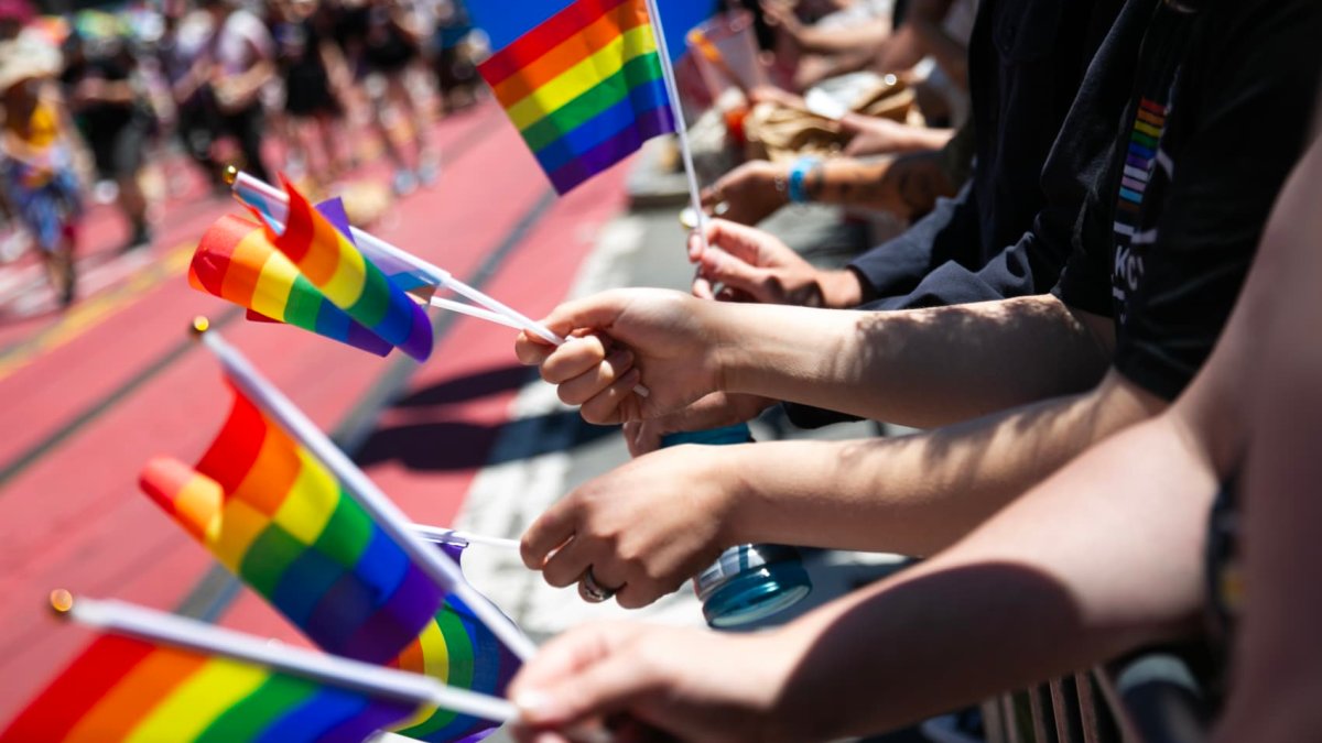 Meta is absent from SF Pride this year, as tech industry retreats from ...