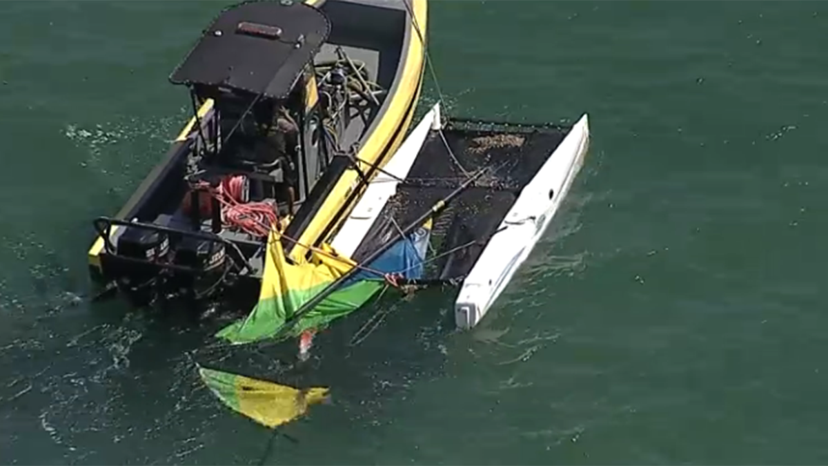 Mila Yankelevich, 7, killed in Miami boat crash – NBC 7 San Diego