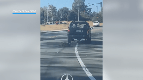 Suspect sought in Spring Valley animal abuse case – NBC 7 San Diego
