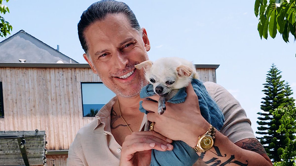How to watch, stream NBC’s Clear The Shelters TV special – NBC 7 San Diego