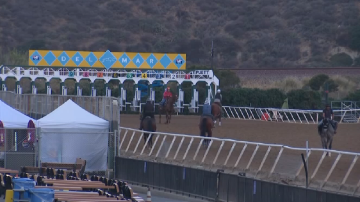 Jenna fischer pornstar lookalike i would repeat if there