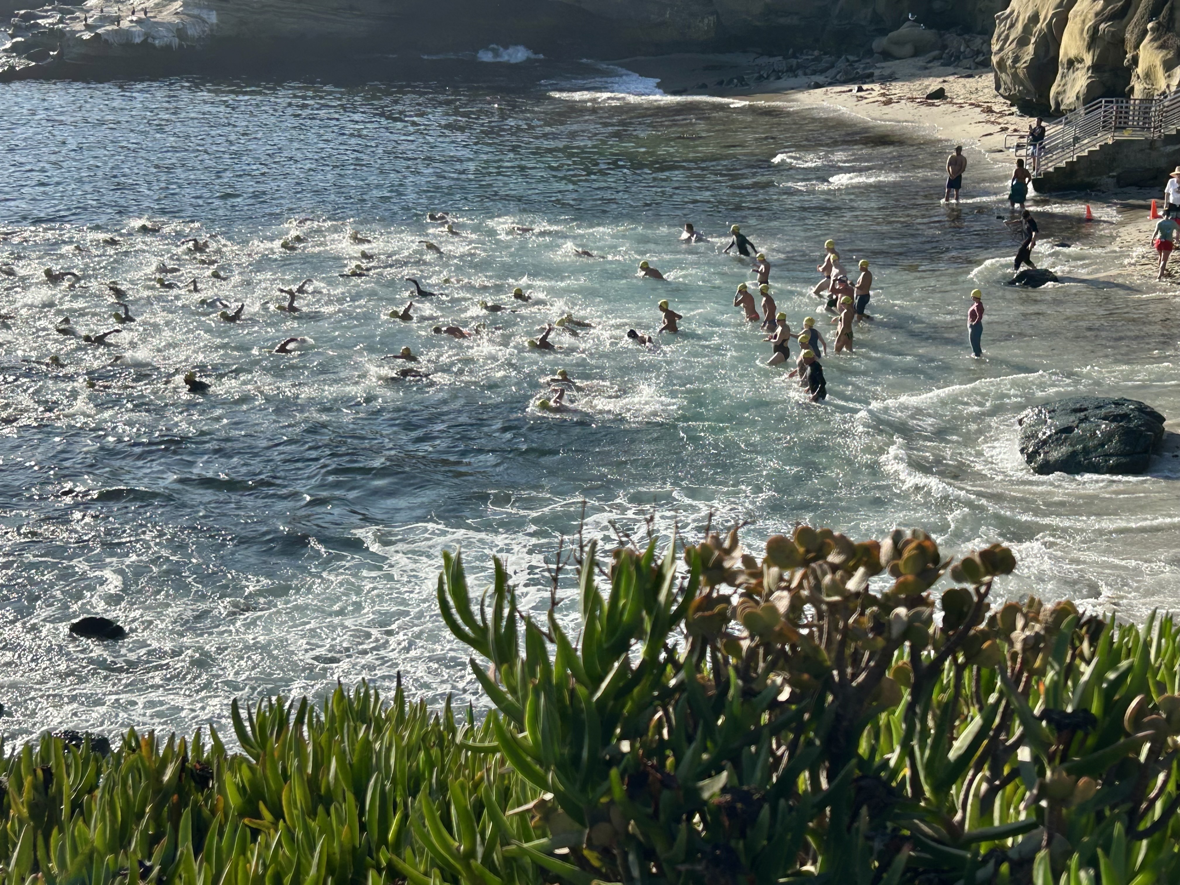 La Jolla Cove Swim raises awareness and donations to prevent drownings ...