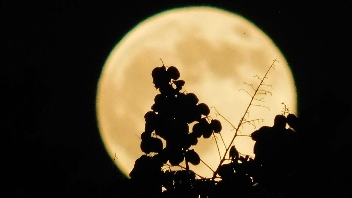 3 supermoons coming in 2025. How to see them – NBC 7 San Diego