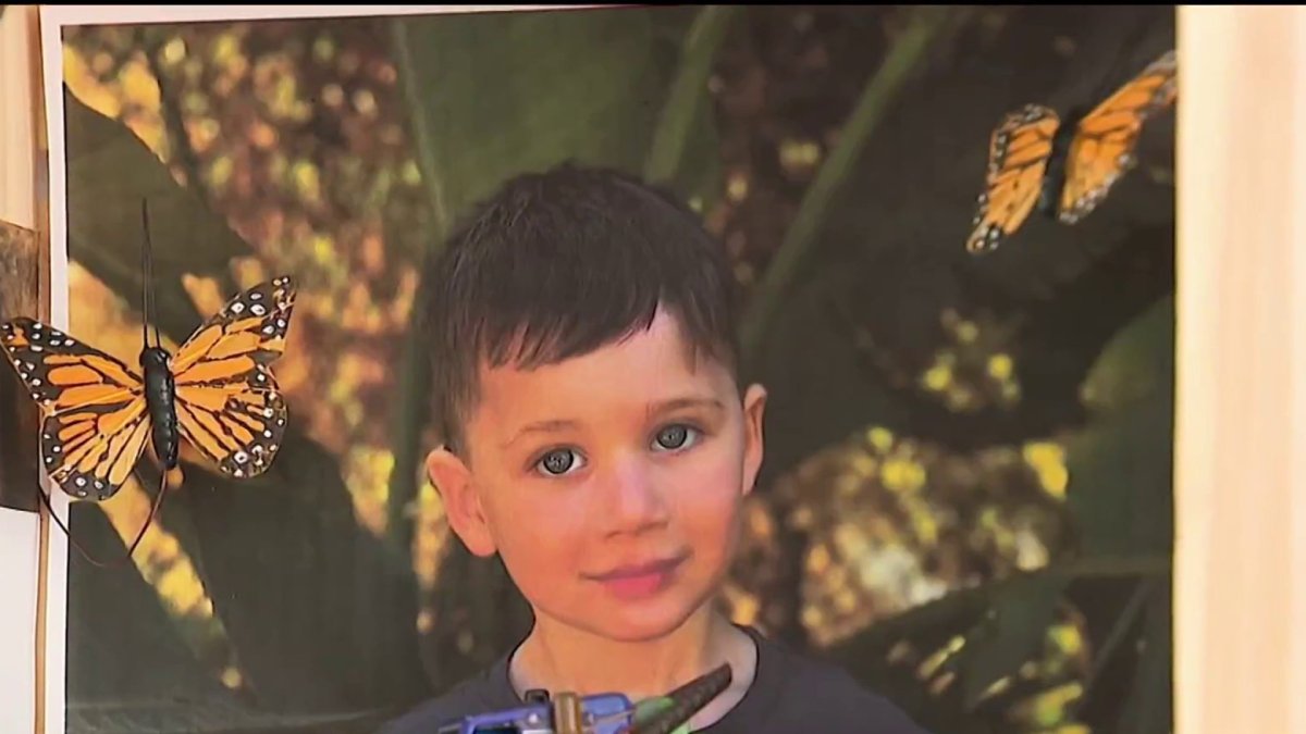 Family of child killed by tree branch sues San Diego – NBC 7 San Diego