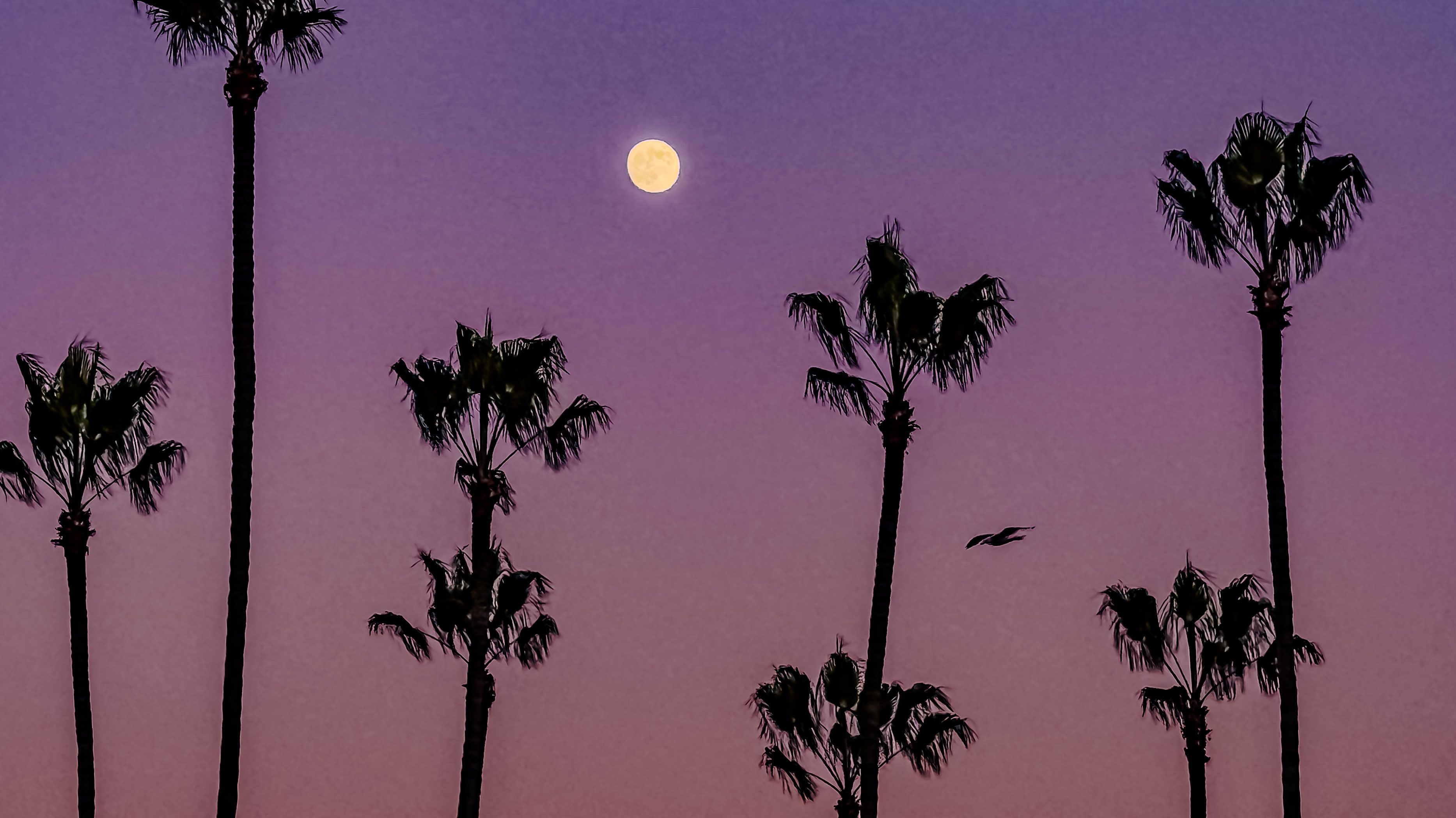 3 supermoons coming in 2025. How to see them – NBC 7 San Diego