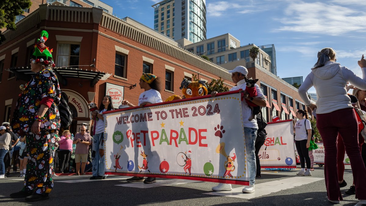 Things to do this weekend in San Diego from Dec. 12-14 – NBC 7 San Diego