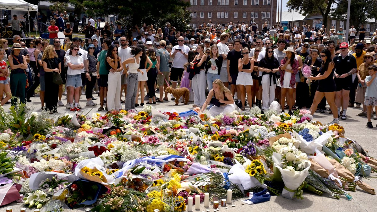 Australian PM proposes tougher gun laws after Bondi mass shooting – NBC ...