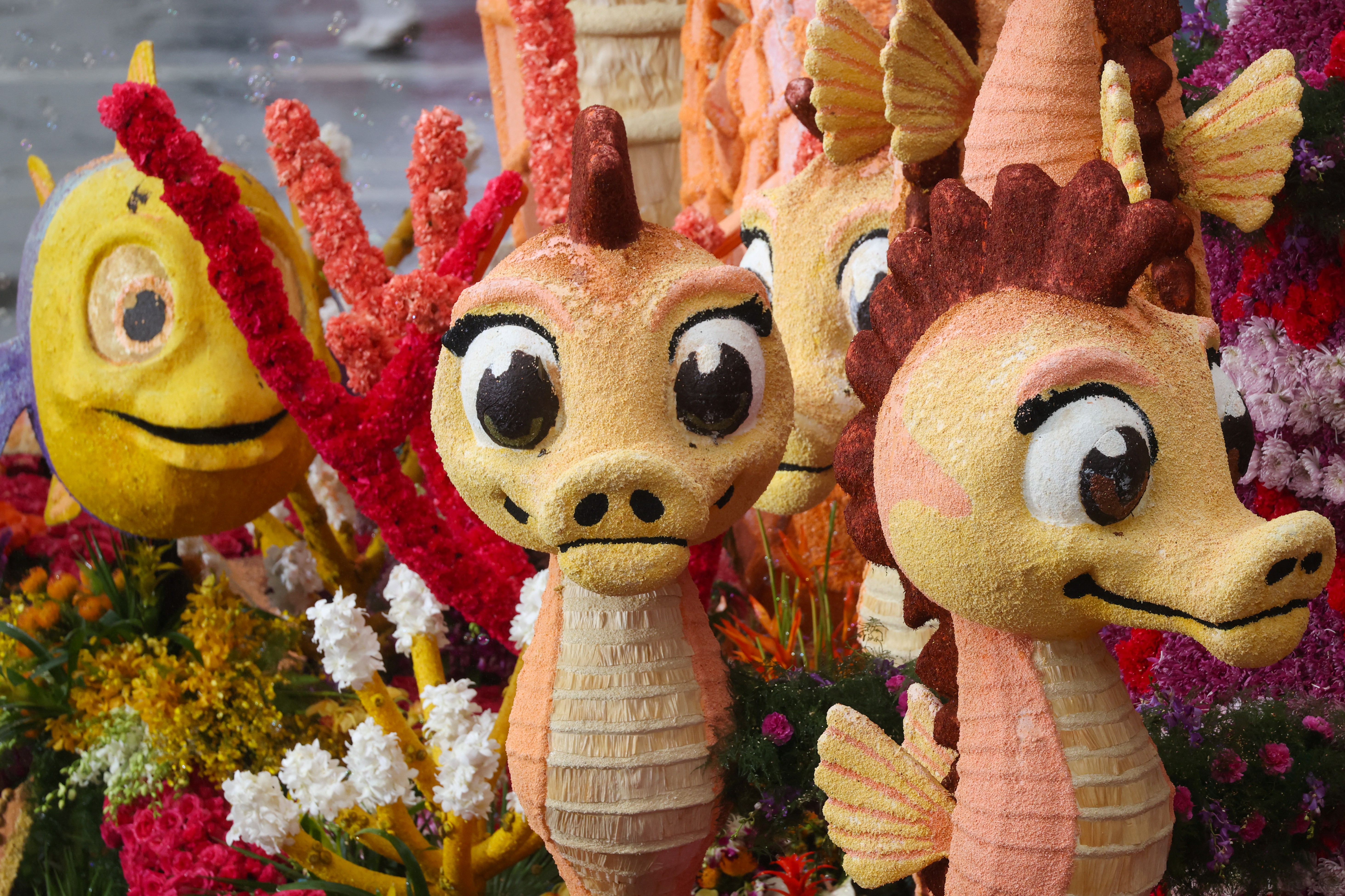 San Diego floats bloom bright at 2026 Rose Parade - International News