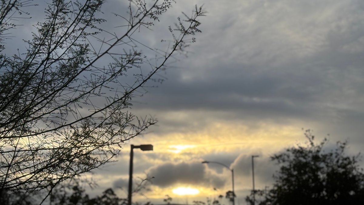 Intermittent light showers expected to persist through the weekend in ...